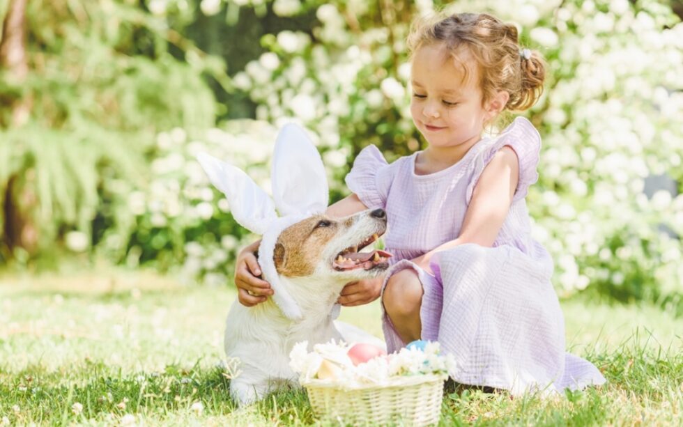 Celebrating Easter Safely with Your Pets – Union Lake Veterinary Hospital